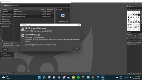 790 Best R Gimp Images On Pholder I Need Help Knowing What This Is