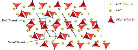 Structure Cristalline De Lhydroxyapatite Download Scientific Diagram