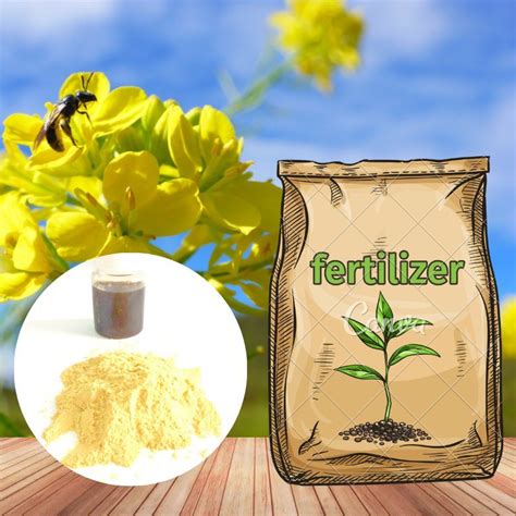 Vegetable Amino Acid Chelate Fe Organic Fertilizer Full Water Solubility For Agricutural Feed