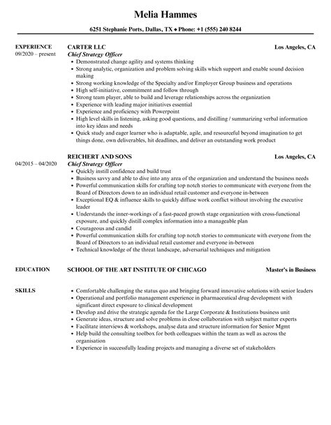 Chief Strategy Officer Resume Samples Velvet Jobs