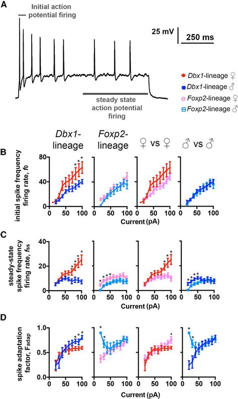 sex differences in biophysical signatures across molecularly defined