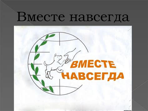 Защита животных презентация онлайн