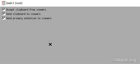 Ubuntu桌面出现accept Clipboard From Viewerssend Clipboard To Viewerssend