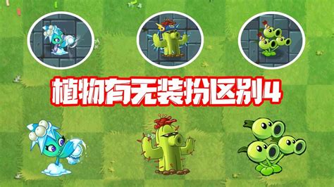 植物大战僵尸植物有无装扮没装扮仙人掌连能量豆都用不了 腾讯视频