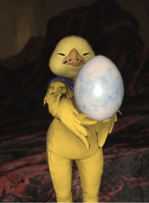 I Saw A Egg Post Earlier This Is My Contribution R Ffxiv
