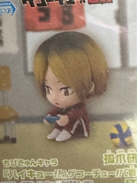 하이큐 초코노코 콜리colley