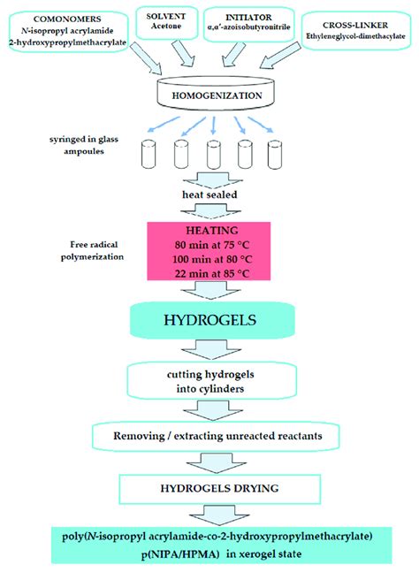 Flow Chart Of P Nipa Hpma Hydrogel Polymerization Process Download