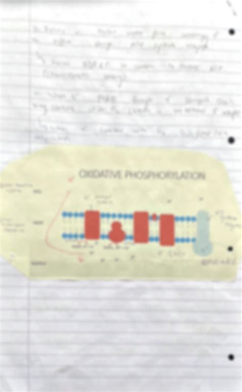Solution Aqa A Level Biology Respiration Studypool