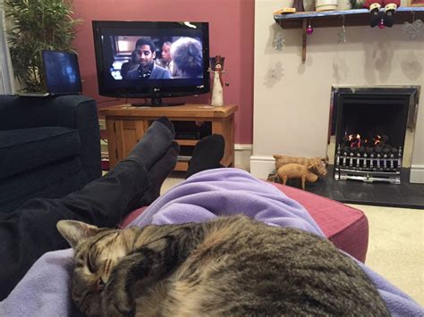 Kim Yates Kimmyyates Twitter