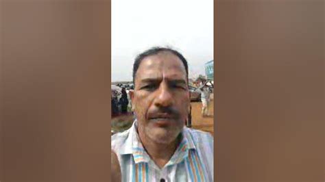 నేలపట్టు Flemingo Festival Youtube