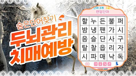 두뇌 운동의 놀라운 효과 숨은단어찾기 치매예방 퀴즈 초성퀴즈 단어퀴즈 두뇌운동 뇌건강 치매테스트 기억력 집중력 강화 재밌는 퀴즈 Youtube