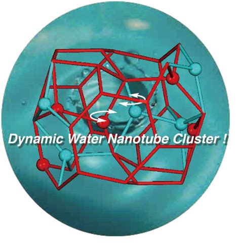 Slow Dynamics Of Premelting Water Molecules Confined In A Hydrophilic Nanoporous Space Ohata