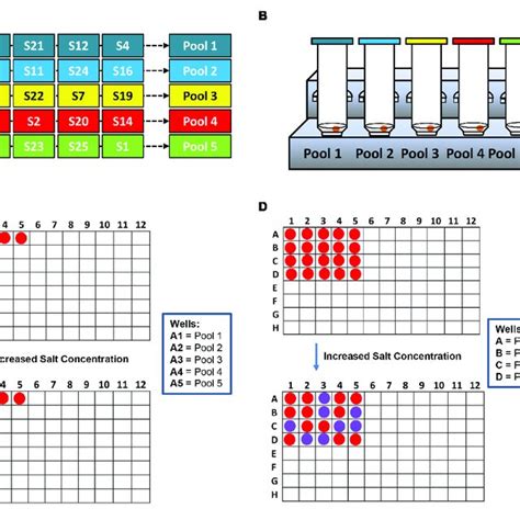 Scheme 2 A Workflow Showing Rapid Salmonella Spp Strains Detection