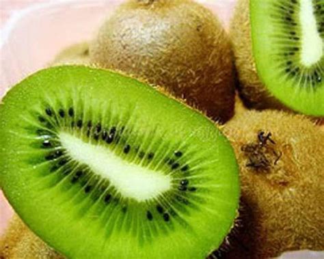 100 Seeds Kiwi Fruit Kiwi Actinidia Vine Seeds Kiwifruit Hardy Kiwi