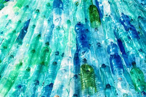 Bioremediation To Tackle Plastic Pollution Biolabtests