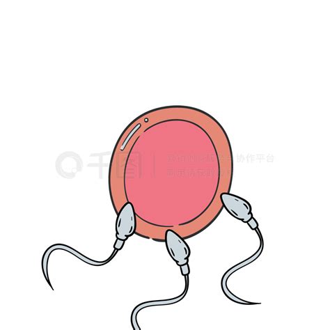 精子网页ui 精子和卵子的向量集 模板免费下载 Ai格式 626像素 编号62522964 千图网
