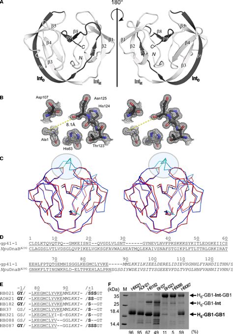 Crystal Structure Of The C1a Variant Of The Engineered Cis‐splicing