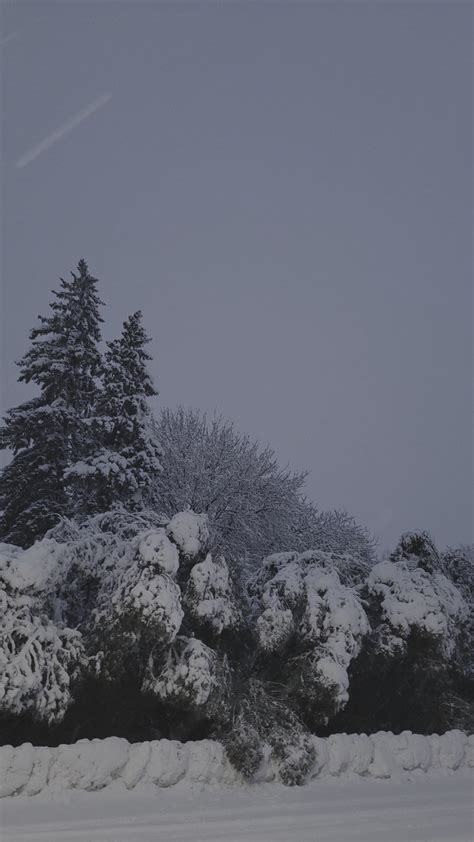 Automated Continuous Masterslave Streaming Backup 26 By Martinhbramwell Customize Erpnext