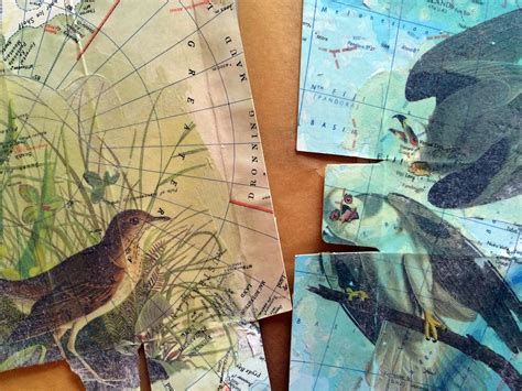 Laura Tringali Holmes