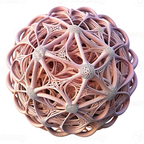 Magnificent Rustic A Complex Network Of Interwoven Fibrous Strands