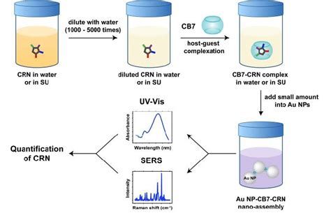 Schematic Illustration Of Our Dual Uv Vis And Sers Detection Scheme Download Scientific Diagram