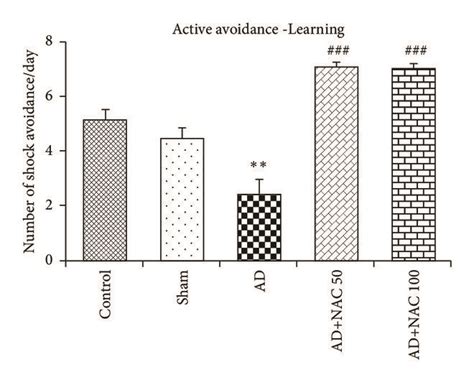 Performance Of Rats In Different Groups In Active Avoidance Learning