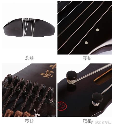 关于古琴这些你都了解吗？（压箱底干货分享） 知乎