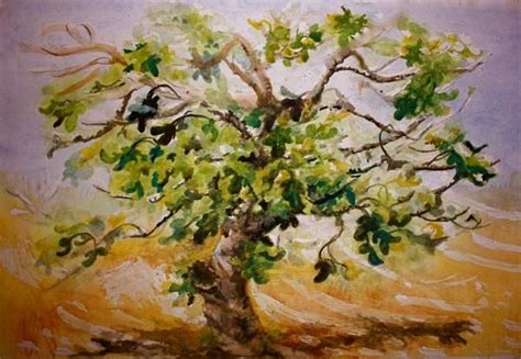 The Significance Of Fig Trees In Biblical Scripture