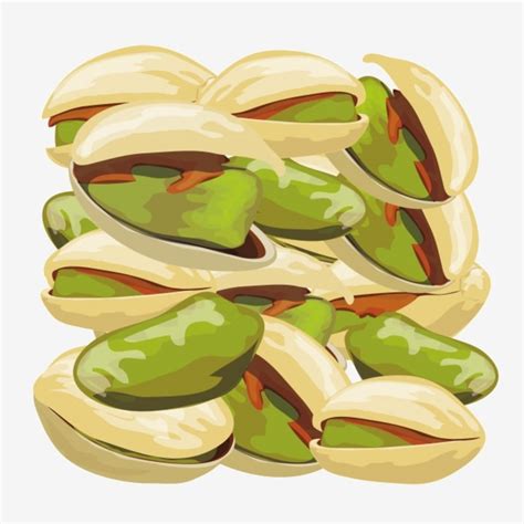 白いピスタチオ 美しいピスタチオ ピスタチオの装飾イラスト画像とpngフリー素材透過の無料ダウンロード Pngtree