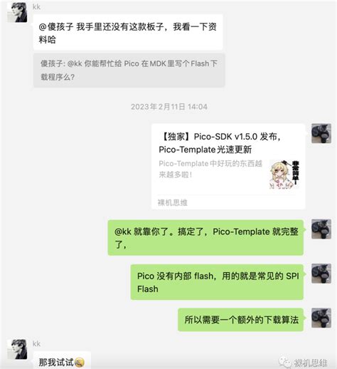 独家MDK开发树莓派Pico超进化爷支持Flash下载了 极术社区 连接开发者与智能计算生态
