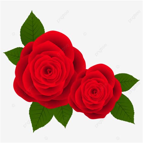 Rose Leaves Vector Hd Png Images Red Roses With Leaves Roses Red