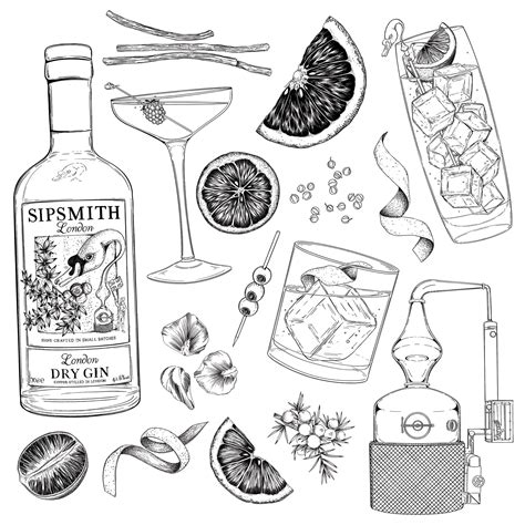 Sipsmith Gin Book Cover Botanical Illustration — Maggie Enterrios Professional Illustrator