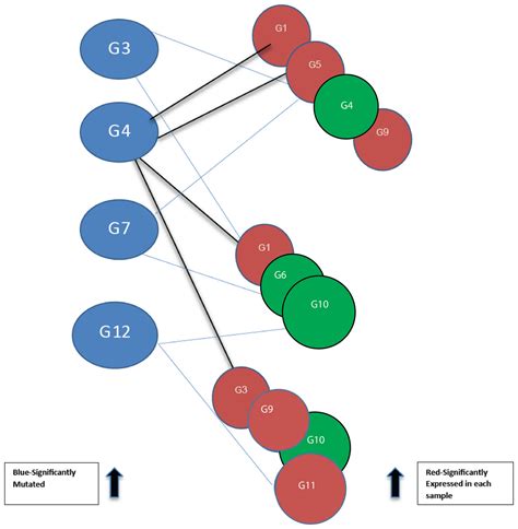 The Use Of Gene Interaction Networks To Improve The Identification Of