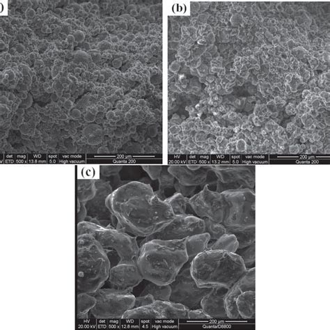 Fracture Surfaces Of Samples After Semi Solid Compression With