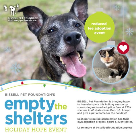 Bissell Pet Foundation Empty The Shelters Adoption Event Jacksonville