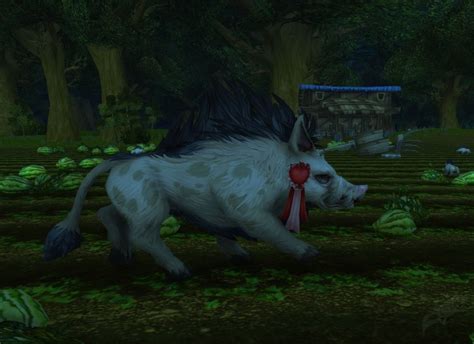 Princess Npc World Of Warcraft