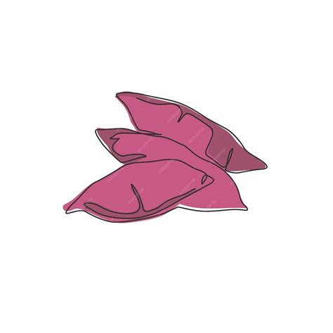 Premium Vector One Single Line Drawing Of Sweet Potato For Bindweed