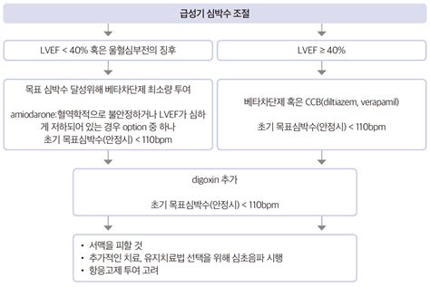 심방세동atrial Fibrillation 치료 Metamedic