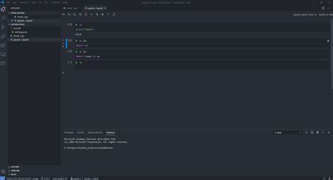 jupyter notebook theme and look not matching on remote containers to