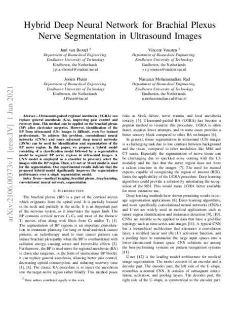 pdf hybrid deep neural network for brachial plexus nerve segmentation