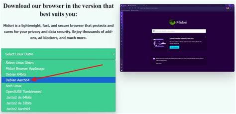5 best web browsers to use on raspberry pi i tested them raspberrytips