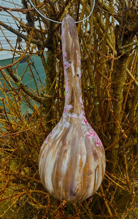 Peach Tree Blossoms Handpainted Gourd Birdhouse Etsy