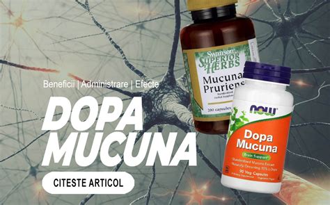 Dopa Mucuna Efecte Benefice l SuplimenteOriginale.ro BLOG