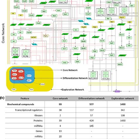 Overview Of The Core Exploration And Differentiation Networks A Download Scientific