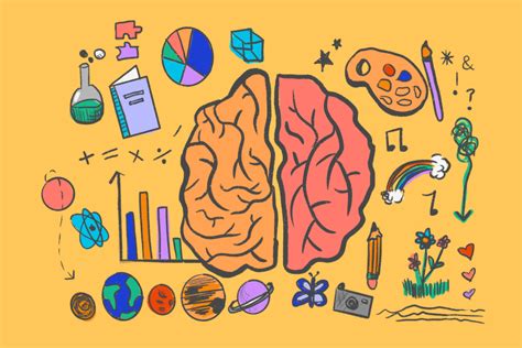 Left Brain VS Right Brain How To Use Them At Work Hive