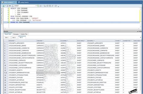 Db2 Query ดูกันว่าในฐานข้อมูลของเรามี Index กี่อัน Naiwaen