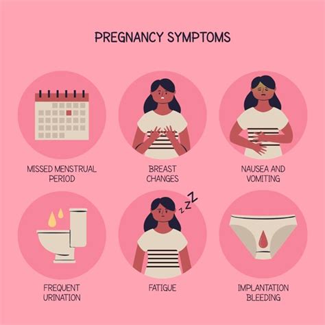 Pregnancy Test Kit Pregnancy Test Instructions Manual