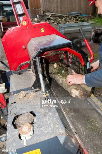 Log Loaders Photos And Premium High Res Pictures Getty Images