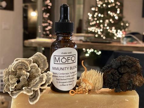 Medicinal Mushroom Tincture Recipe For Double Extraction