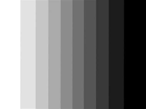 Radiographic Contrast Htm Wiki